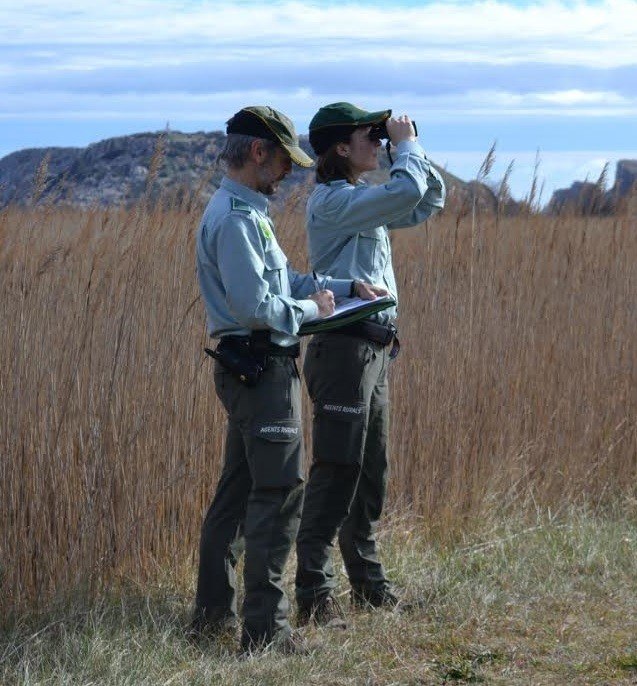 Oposiciones Agente Forestal y Medioambiental en la Comunidad de Madrid ...