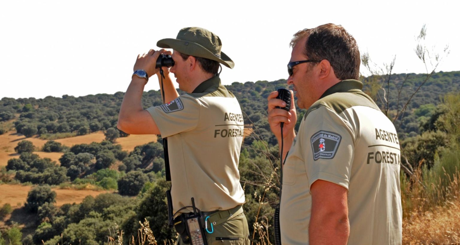 Oposiciones Agente Forestal: requisitos y sueldo - CursosMasters.com